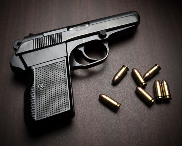 Study: Temporarily Removing Firearms from People at Risk of Harm Saves ...
