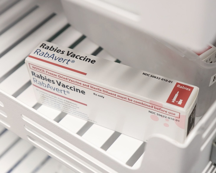 Duke Urgent Care Responds to Increase in Animal Bites | Duke Health