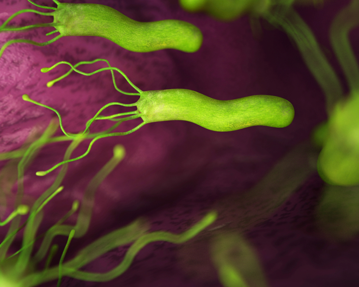 Bug That Causes Stomach Cancer Could Play a Role in Colorectal Cancer ...